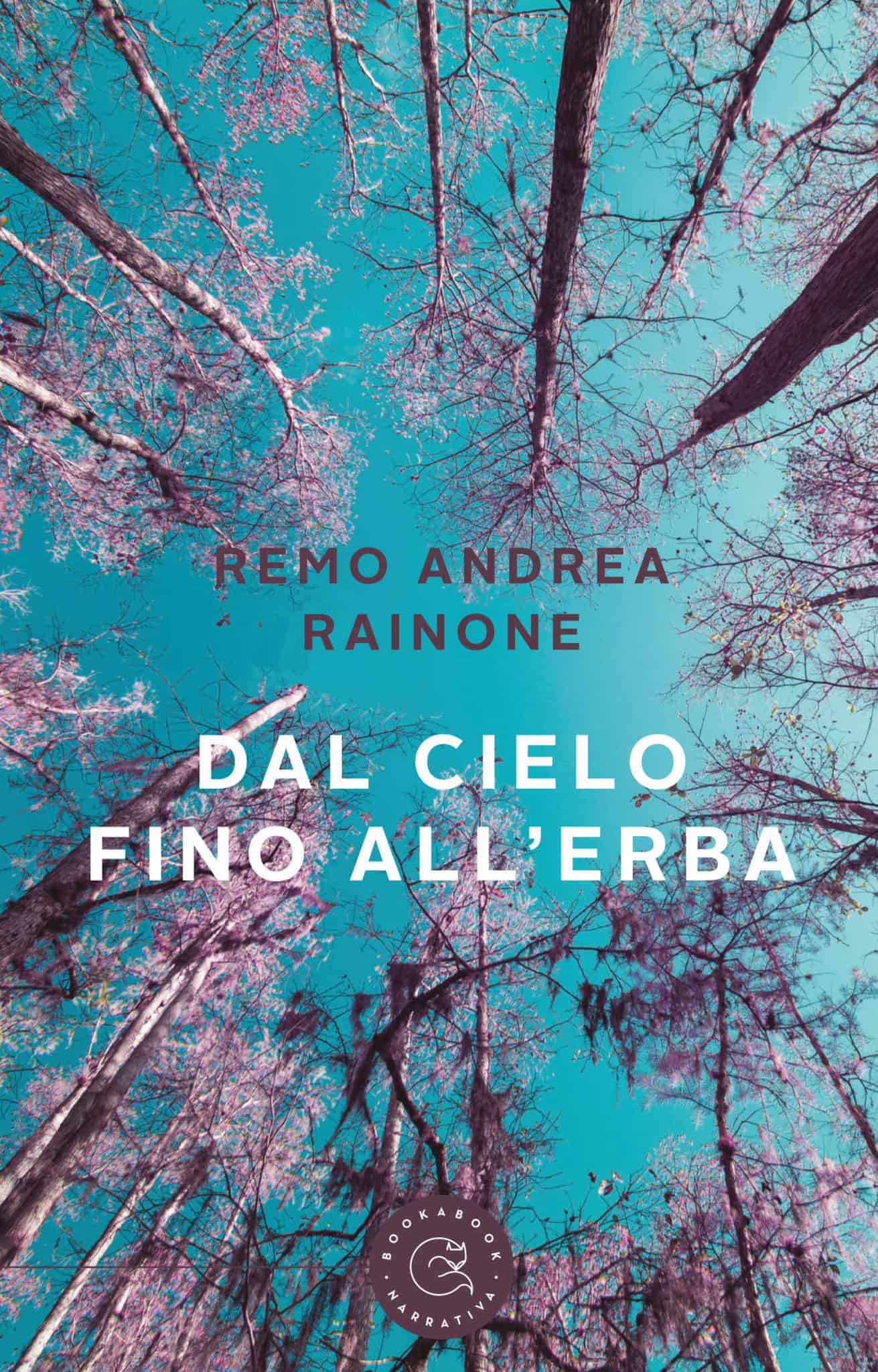 Dal cielo fino all'erba di Remo Andrea Rainone - bookabook