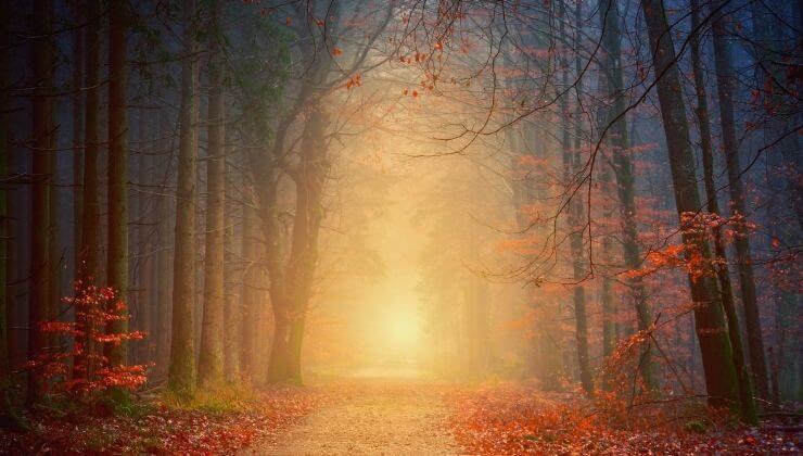 Le nostre campagne di crowdfunding - Bookabook